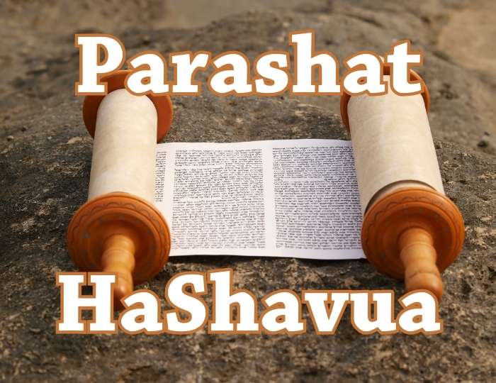 Regular TBI Events - TBI Melbourne